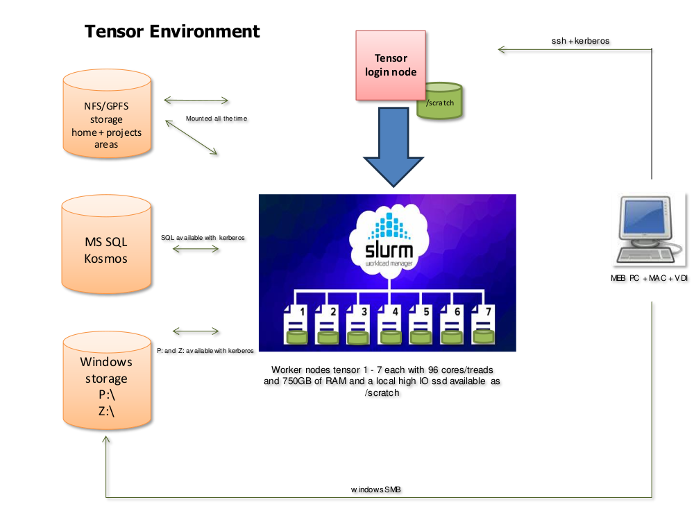 User documentation for the tensor compute cluster at MEB | meb-tensor-docs
